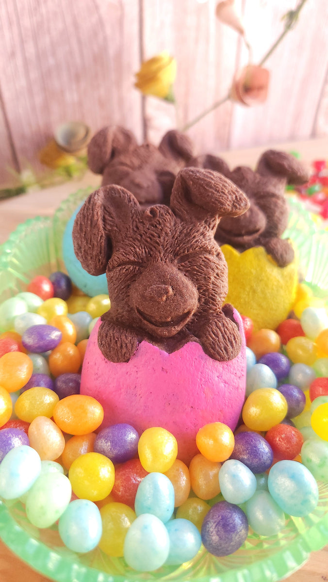 Hatching Bunny Silicone Cookie Mold ON SALE Save $5 – Artesão Cookie Molds